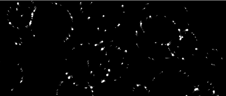 GitHub - JupyterJones/generative-art-javascript: Generative art projects in Processing.js on Webpack